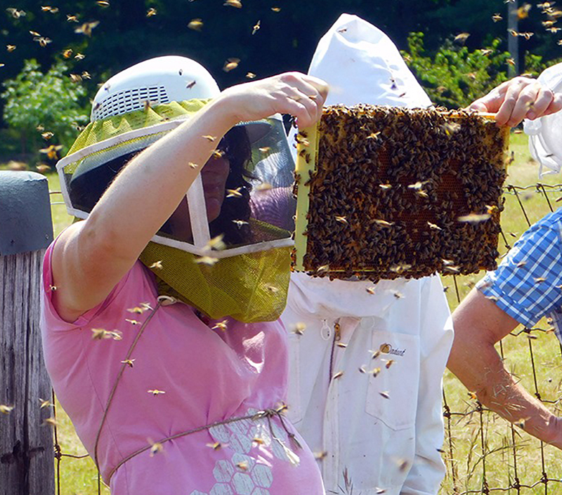 Join MOE Beekeepers’ Association - Middlesex, Oxford, Elgin Beekeepers